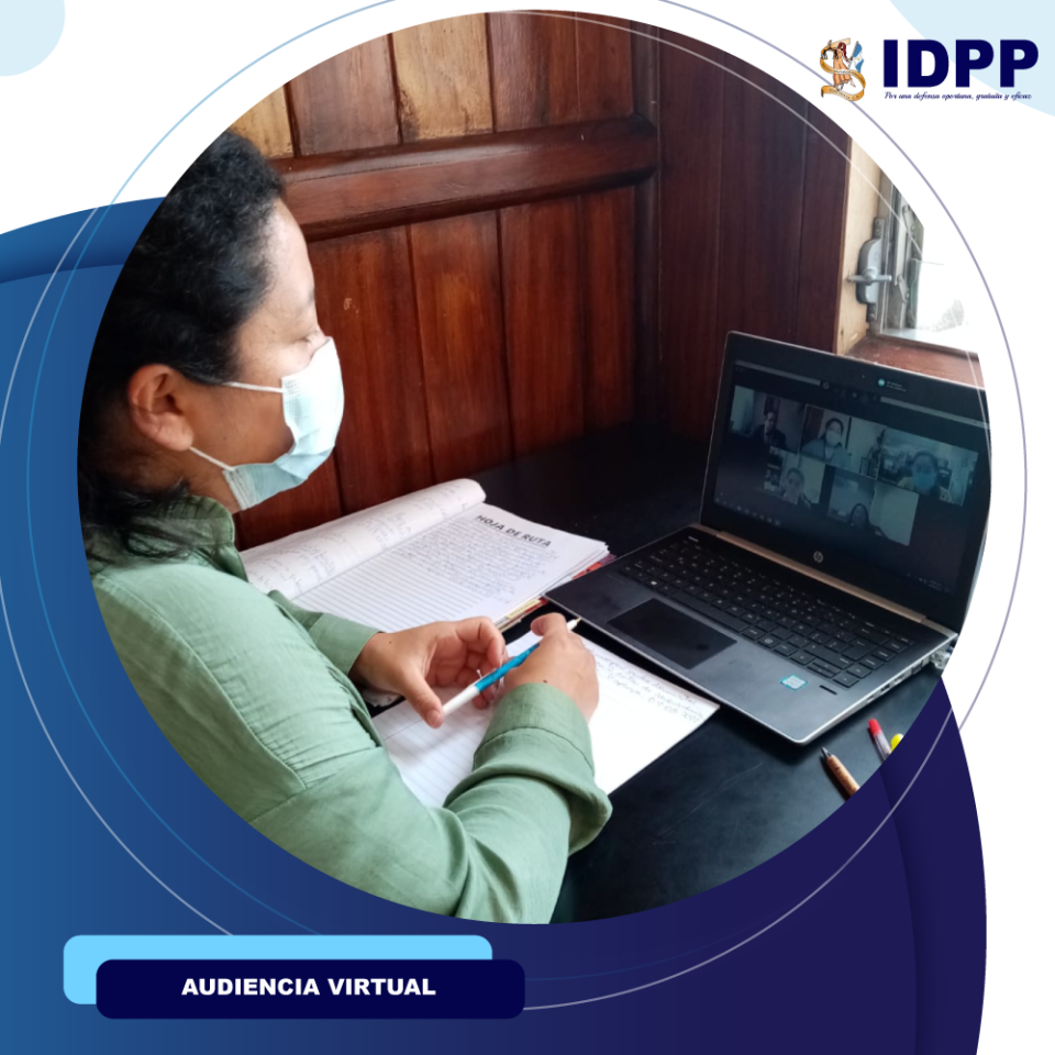 Instituto de la Defensa Pública Penal - IDPP - Asistencia legal